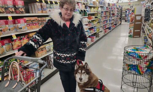 Ways to Help Animals in Need | Forever Husky